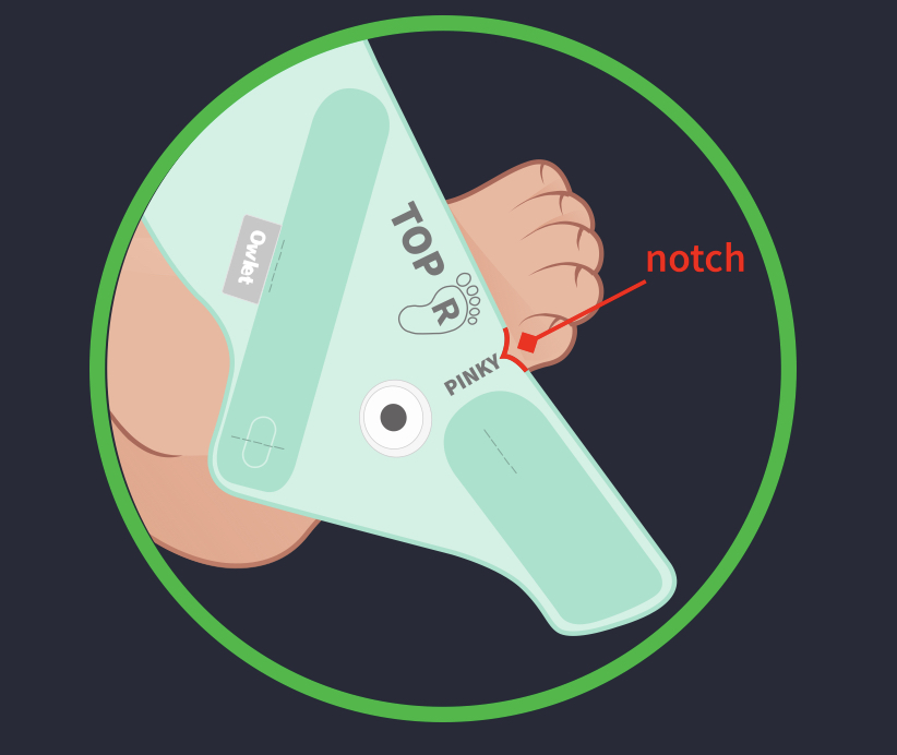 Dream Sock with Health Notifications: Sock Placement & How to Get ...